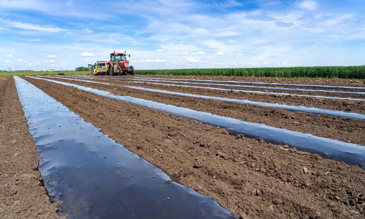 Compostable Mulch Film - biotrackipl
